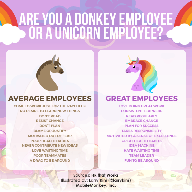Two Types of Employees – Donkey and Unicorn - Customers.ai