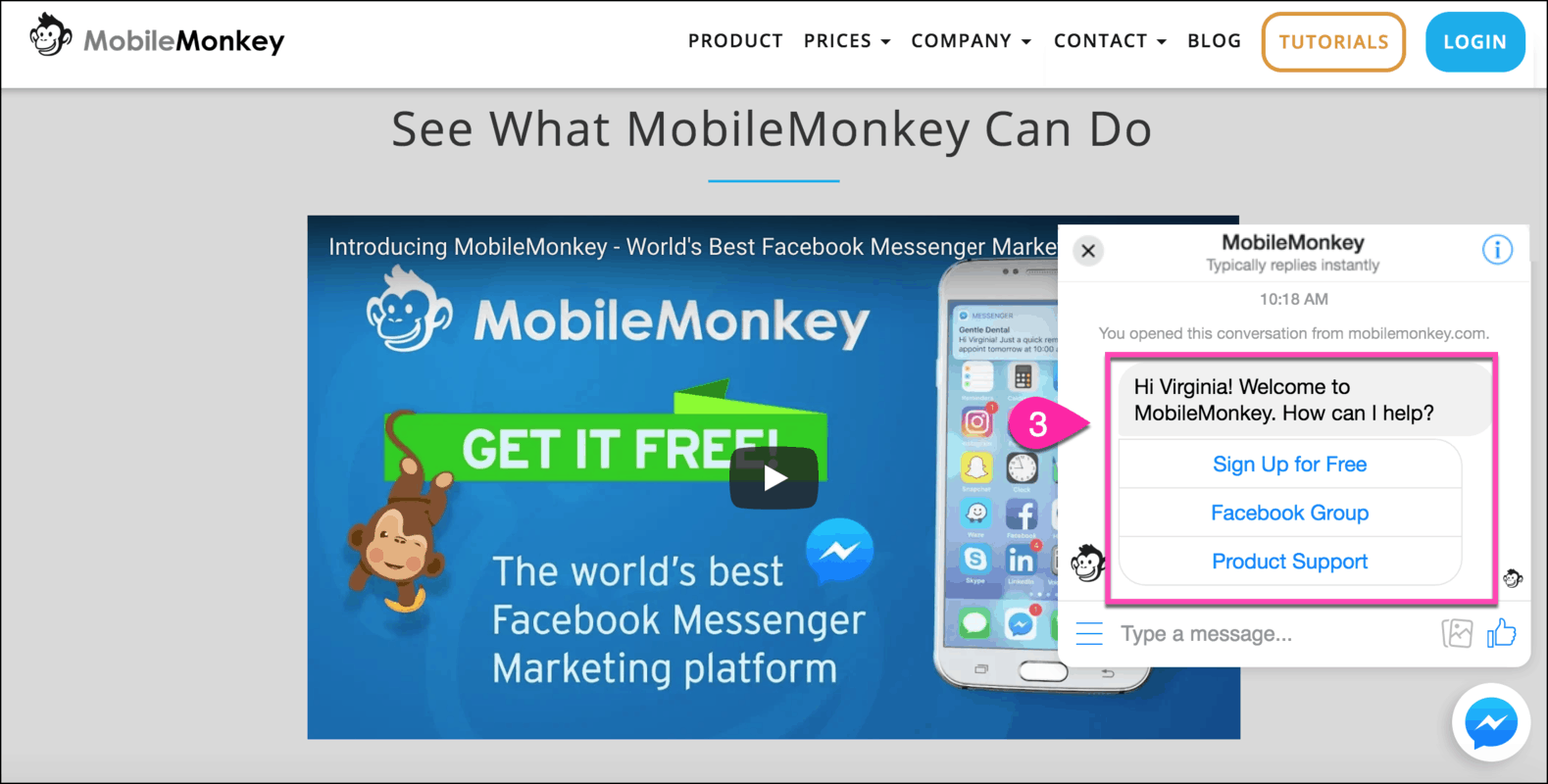 How to Add a Facebook Messenger Chat Widget to a Website Via Google Tag ...