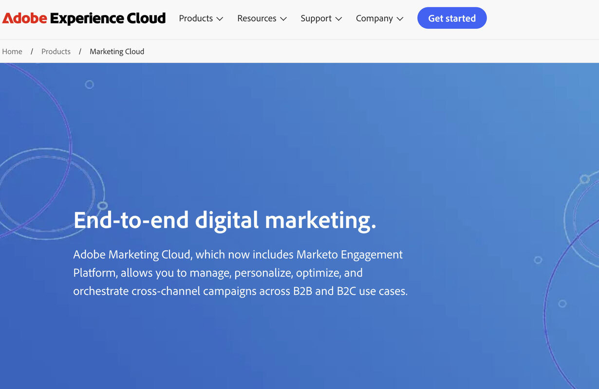 Website Demographic Tools: See Who’s Really Visiting Your Site - Customers.ai